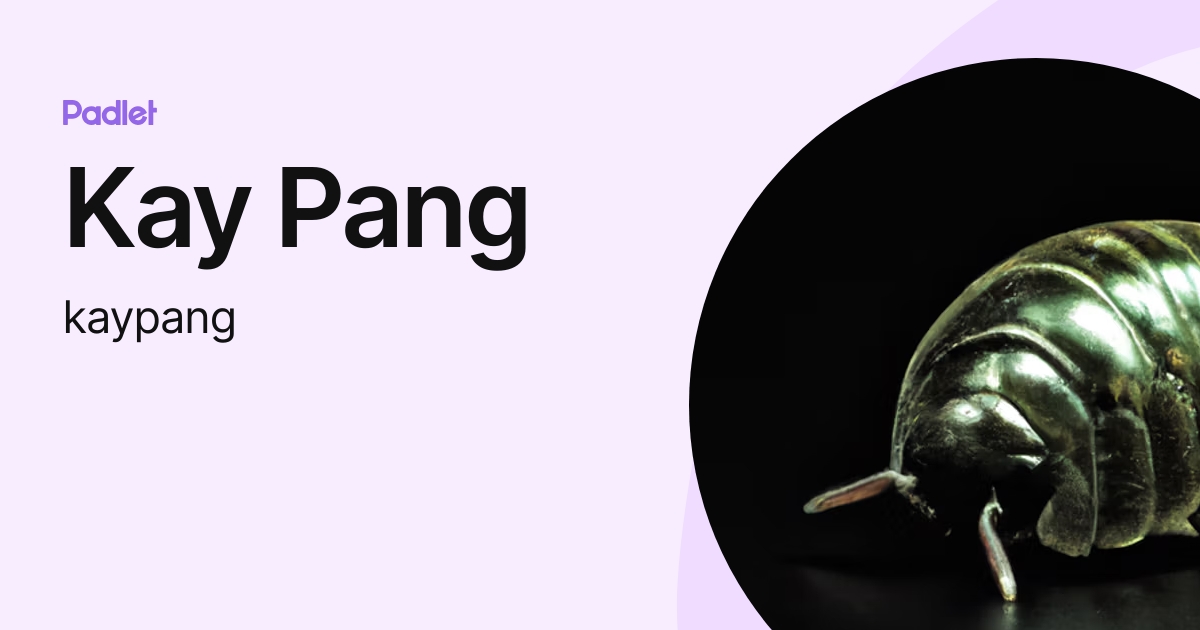 Kay Pang (kaypang) profile | Padlet