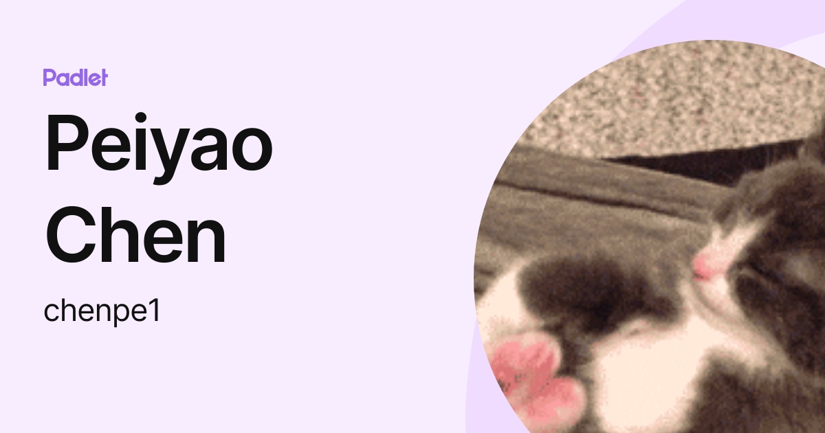 Peiyao Chen (chenpe1) profile | Padlet