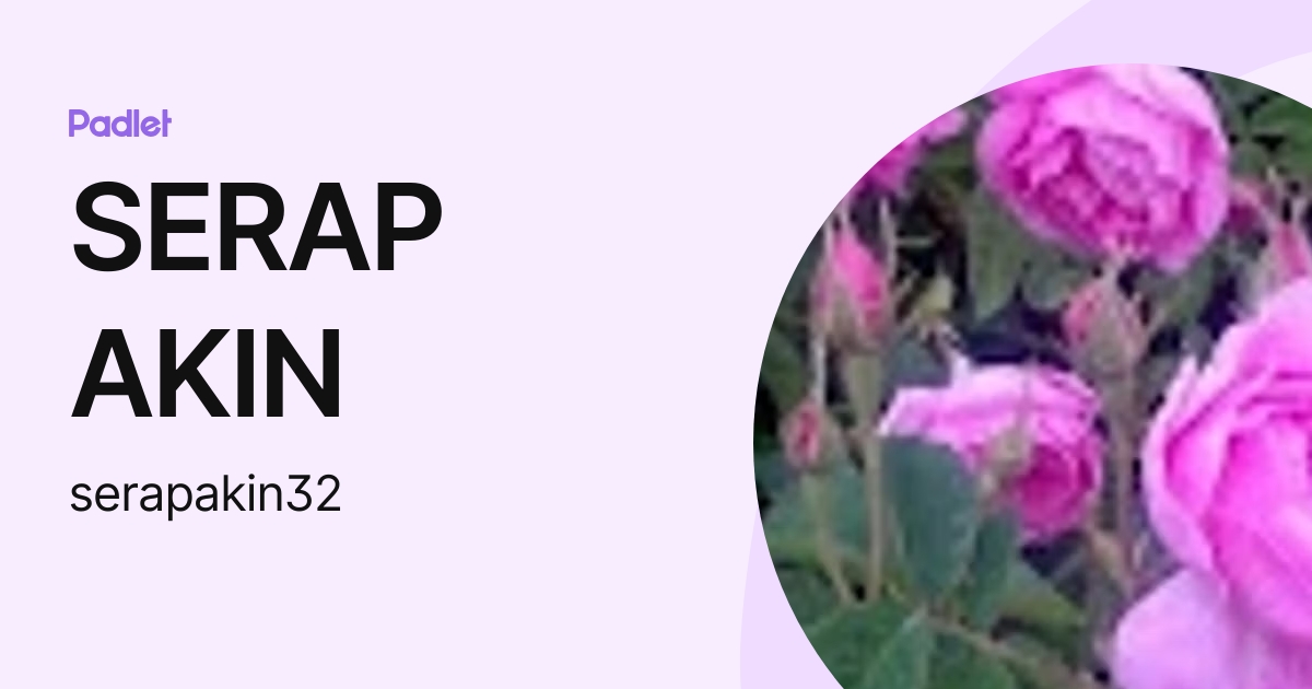SERAP AKIN (serapakin32) profile | Padlet