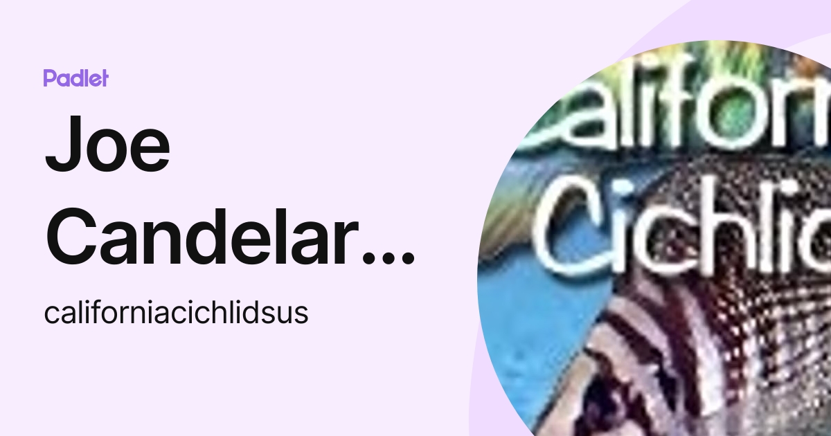 Joe Candelaria Jr. (californiacichlidsus) profile | Padlet