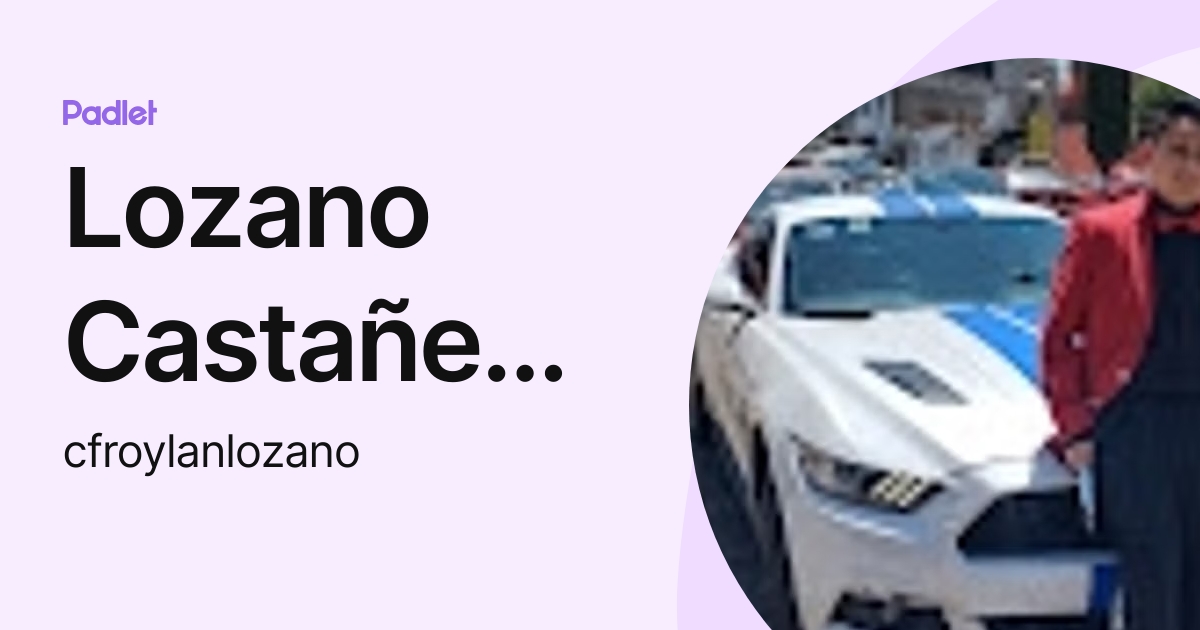 Lozano Castañeda Carlos Froylán #24 (cfroylanlozano) profile | Padlet