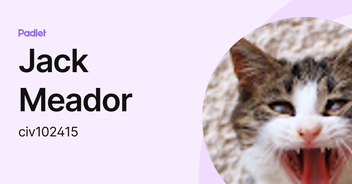 Jack Meador (civ102415) profile | Padlet