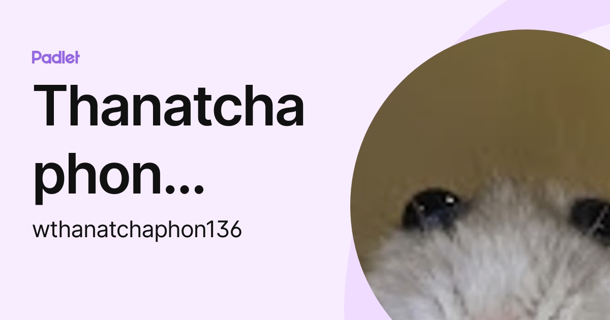 Thanatchaphon Wannaphat (wthanatchaphon136) profile | Padlet