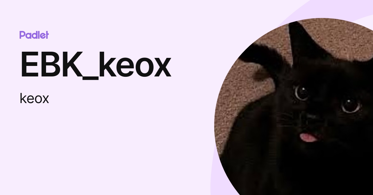 EBK_keox (keox) profile | Padlet