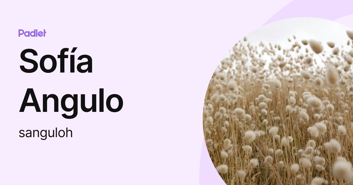 Sofía Angulo (sanguloh) profile | Padlet