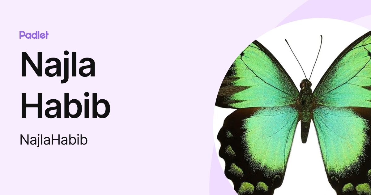 Najla Habib (NajlaHabib) profile | Padlet