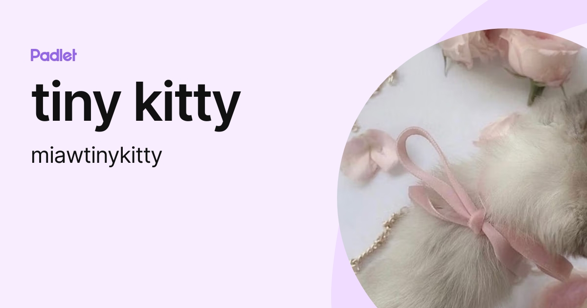 tiny kitty (miawtinykitty) profile | Padlet