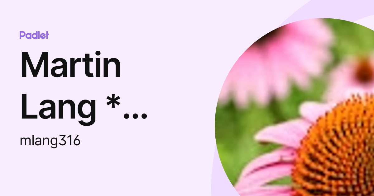 Martin Lang * he_him (mlang316) profile | Padlet