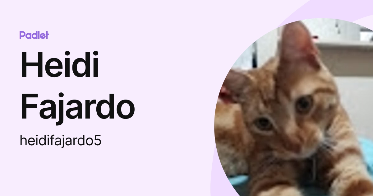 Heidi Fajardo (heidifajardo5) profile | Padlet