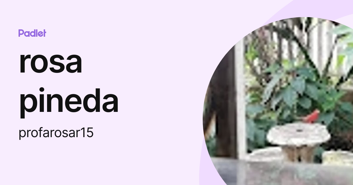 rosa pineda (profarosar15) profile | Padlet