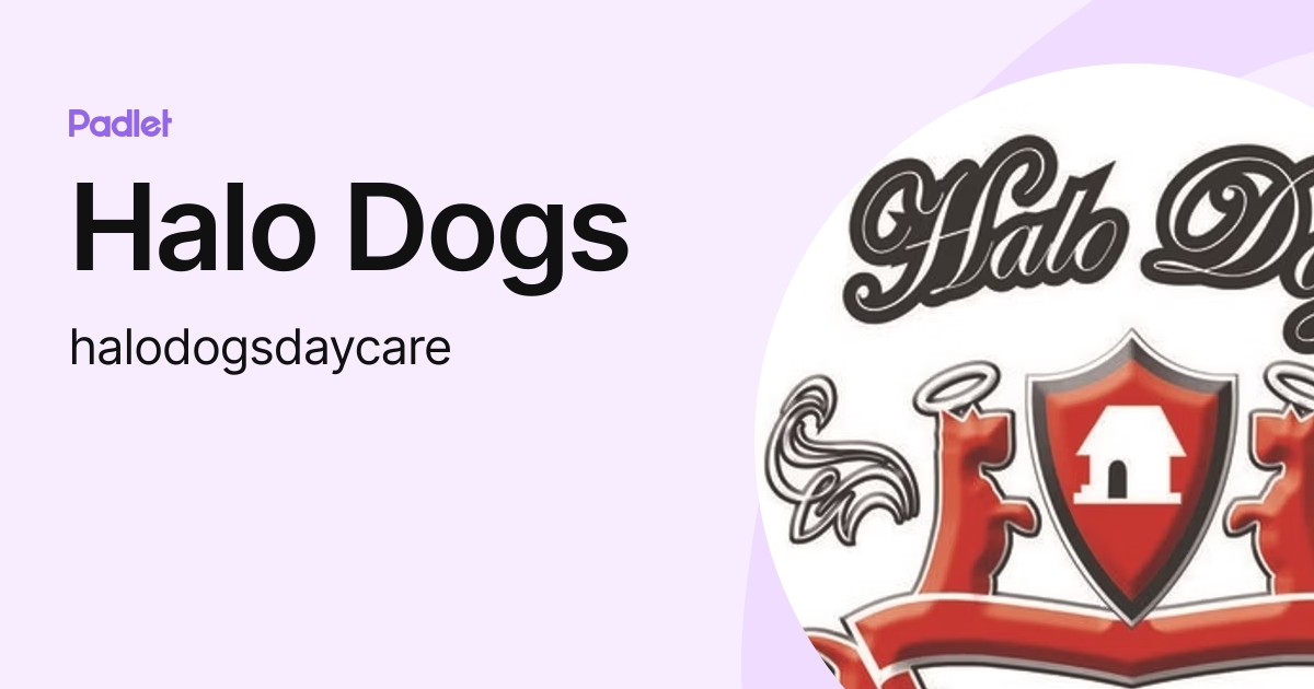 Halo Dogs (halodogsdaycare) profile | Padlet