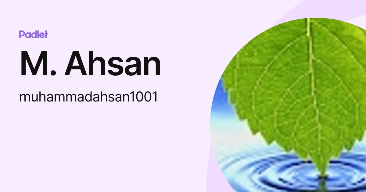 M. Ahsan (muhammadahsan1001) profile | Padlet