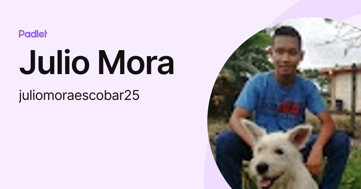 Julio Mora (juliomoraescobar25) profile | Padlet