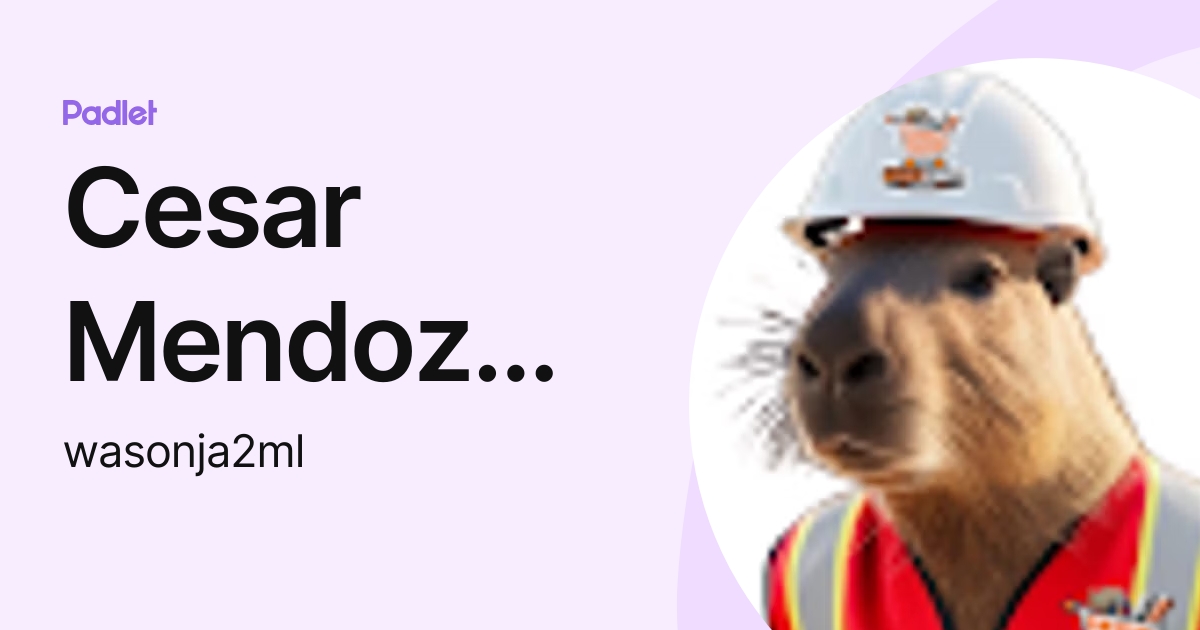 Cesar Mendoza Loayza (wasonja2ml) profile | Padlet
