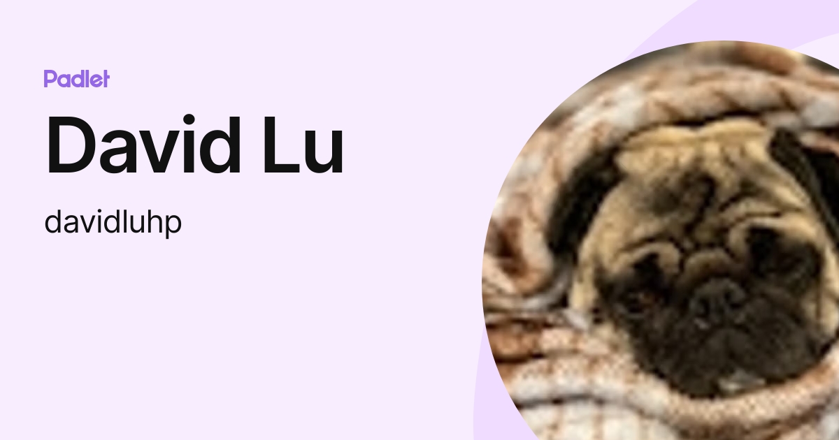 David Lu (davidluhp) profile | Padlet