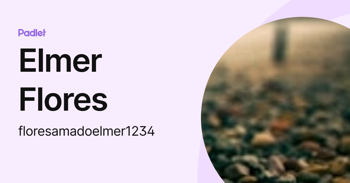 Elmer Flores (floresamadoelmer1234) profile | Padlet