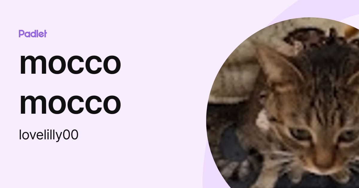 mocco mocco (lovelilly00) profile | Padlet