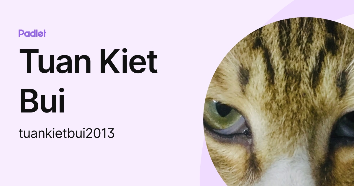 Tuan Kiet Bui (tuankietbui2013) profile | Padlet