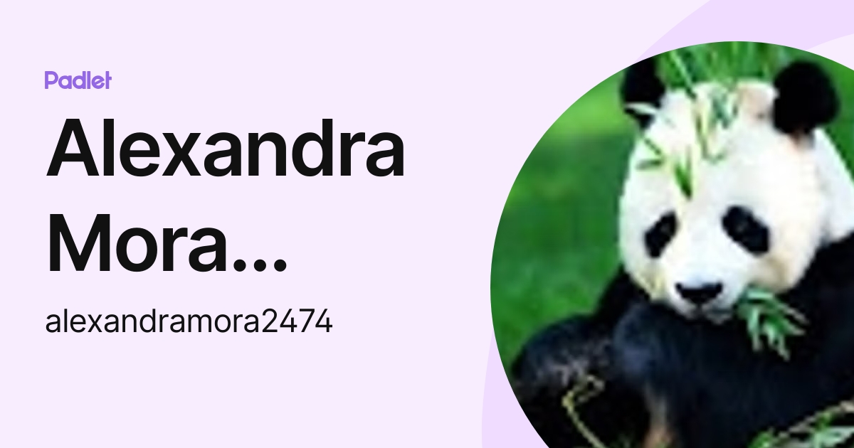 Alexandra Mora Chacón (alexandramora2474) profile | Padlet