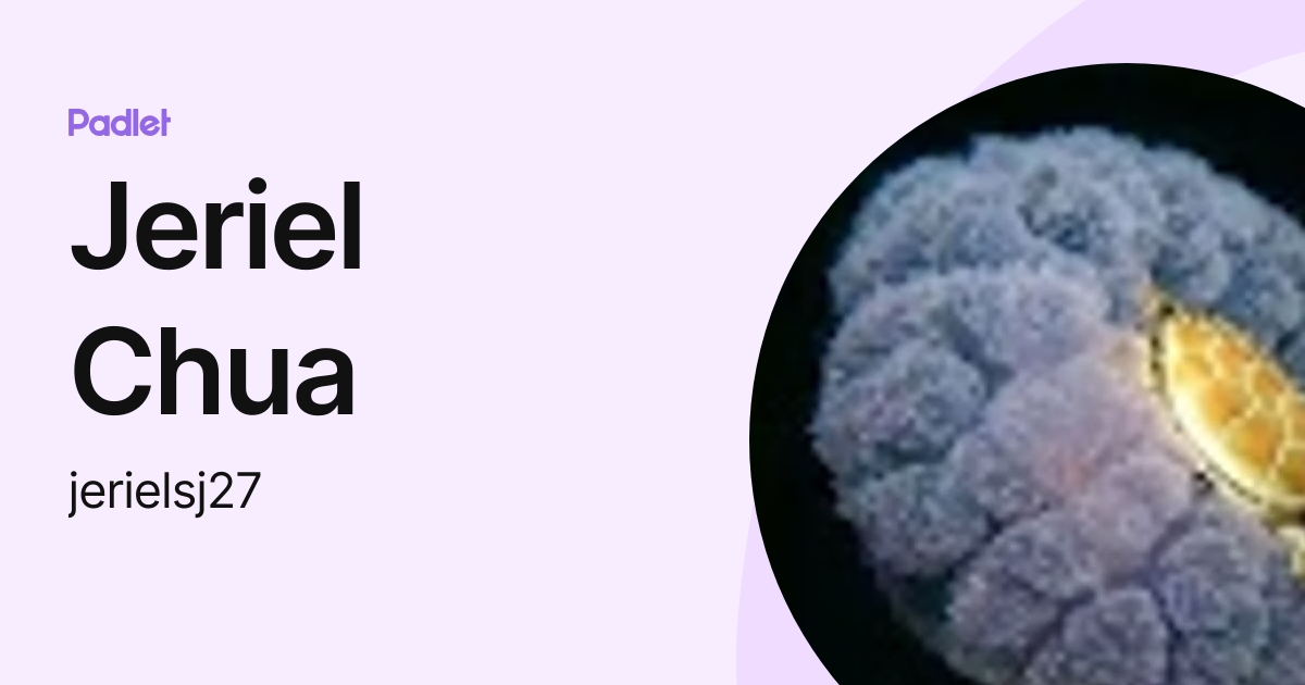 Jeriel Chua (jerielsj27) profile | Padlet