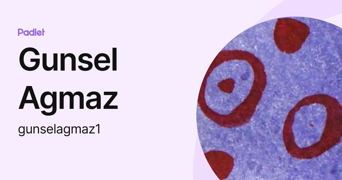 Gunsel Agmaz (gunselagmaz1) profile | Padlet
