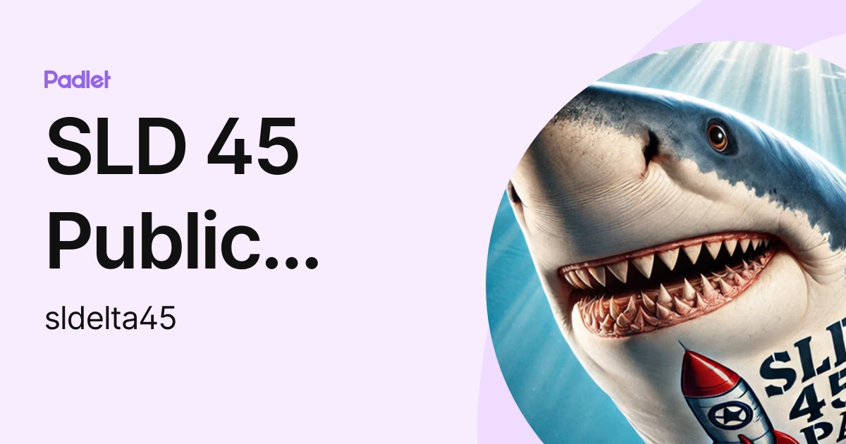 SLD 45 Public Affairs (sldelta45) profile | Padlet