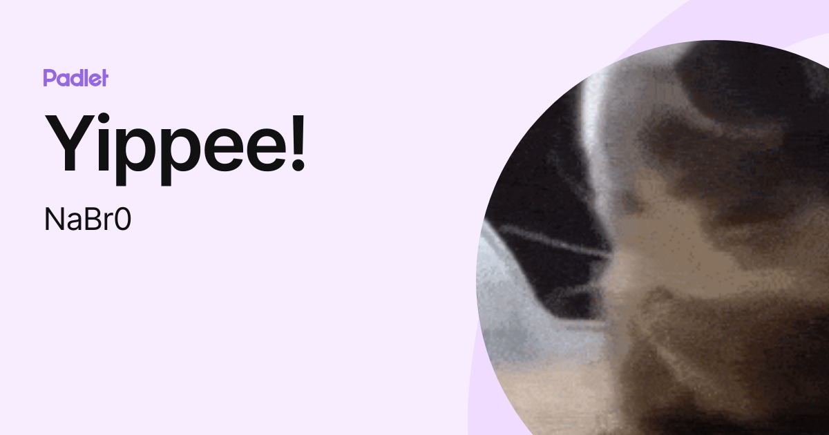 Yippee! (NaBr0) profile | Padlet