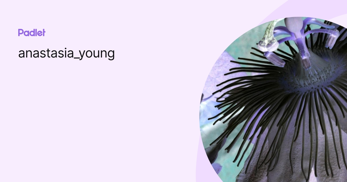 anastasia_young profile | Padlet