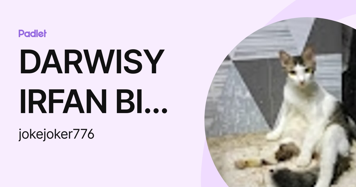 DARWISY IRFAN BIN MUHAMAD SUHAIRI (jokejoker776) profile | Padlet