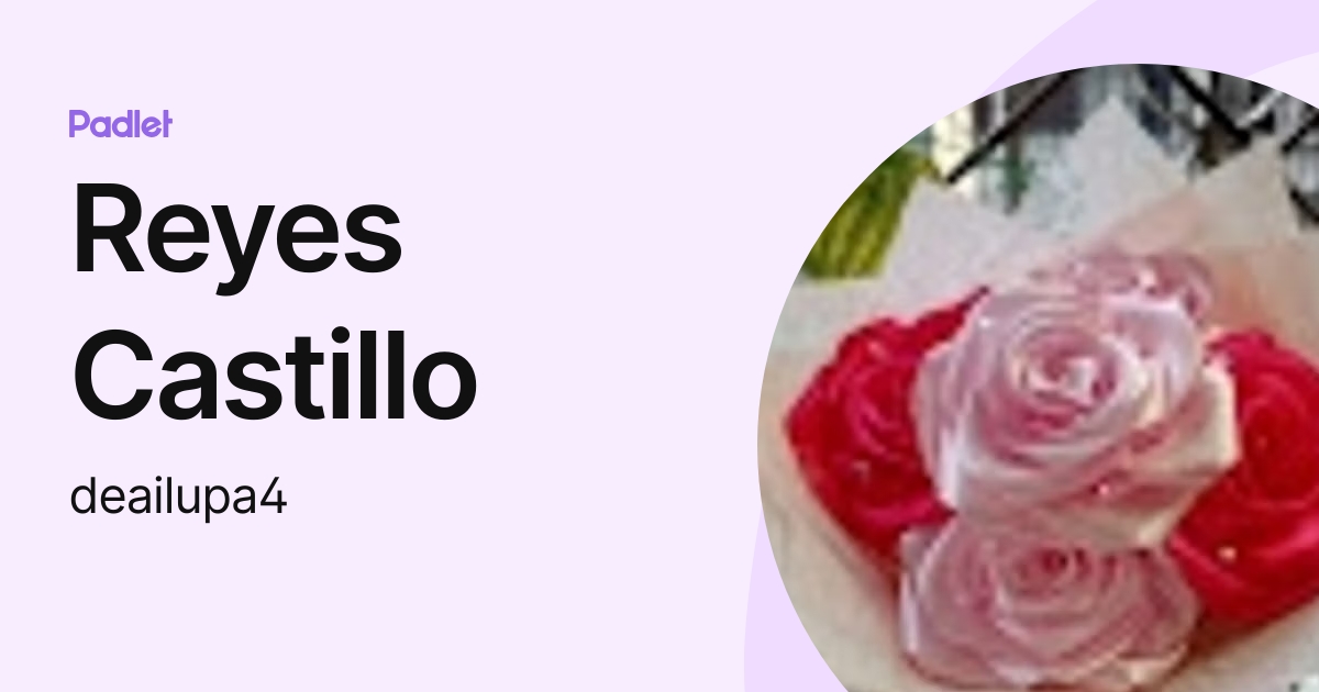 Reyes Castillo (deailupa4) profile | Padlet