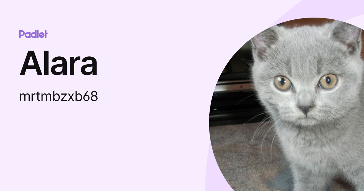 Alara (mrtmbzxb68) profile | Padlet