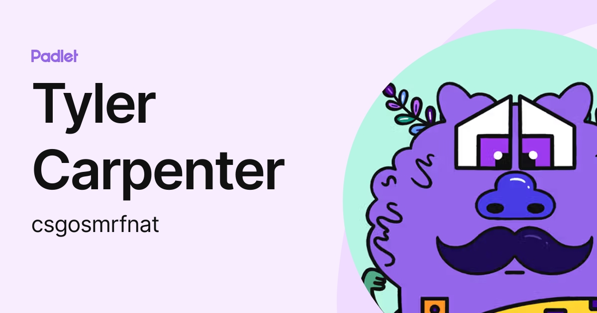 Tyler Carpenter (csgosmrfnat) profile | Padlet