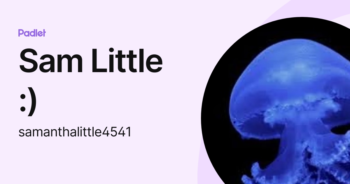 Sam Little :) (samanthalittle4541) profile | Padlet
