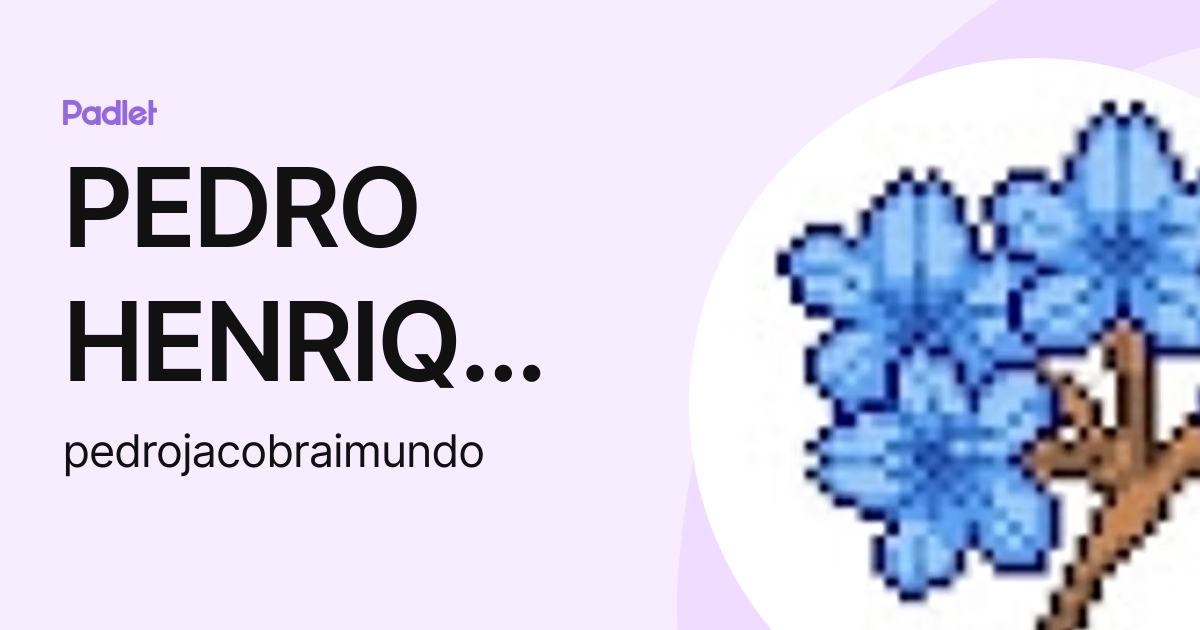 PEDRO HENRIQUE JACOB RAIMUNDO (pedrojacobraimundo) profile | Padlet
