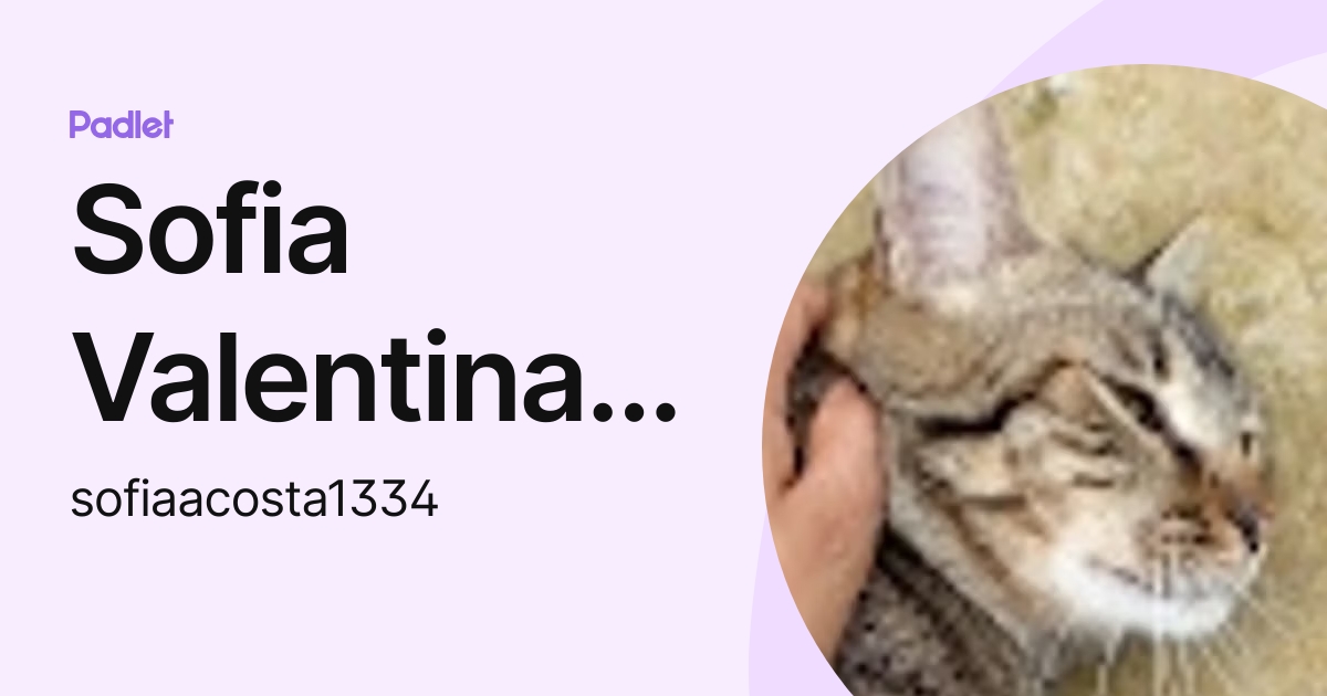 Sofia Valentina Vasquez Acosta (sofiaacosta1334) profile | Padlet