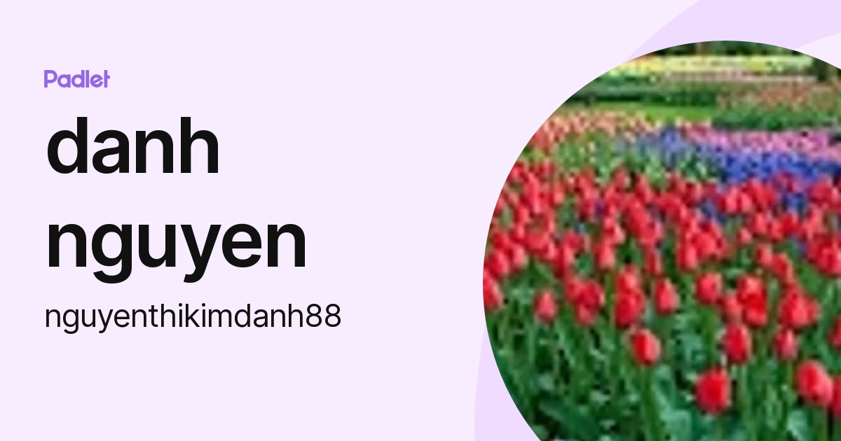 danh nguyen (nguyenthikimdanh88) profile | Padlet