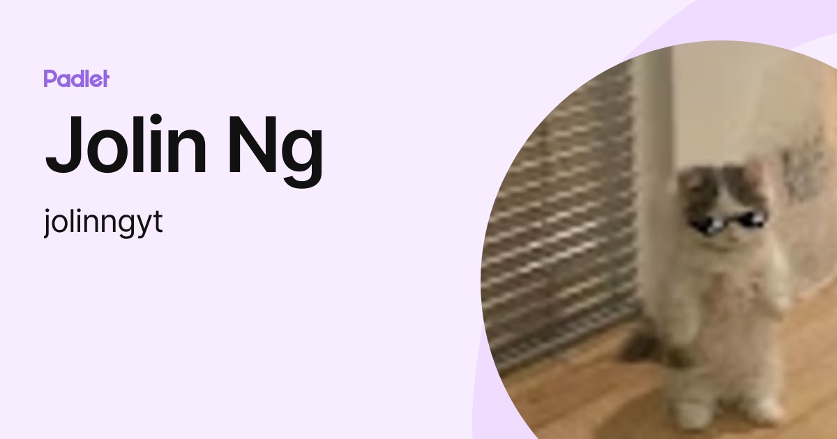 Jolin Ng (jolinngyt) profile | Padlet