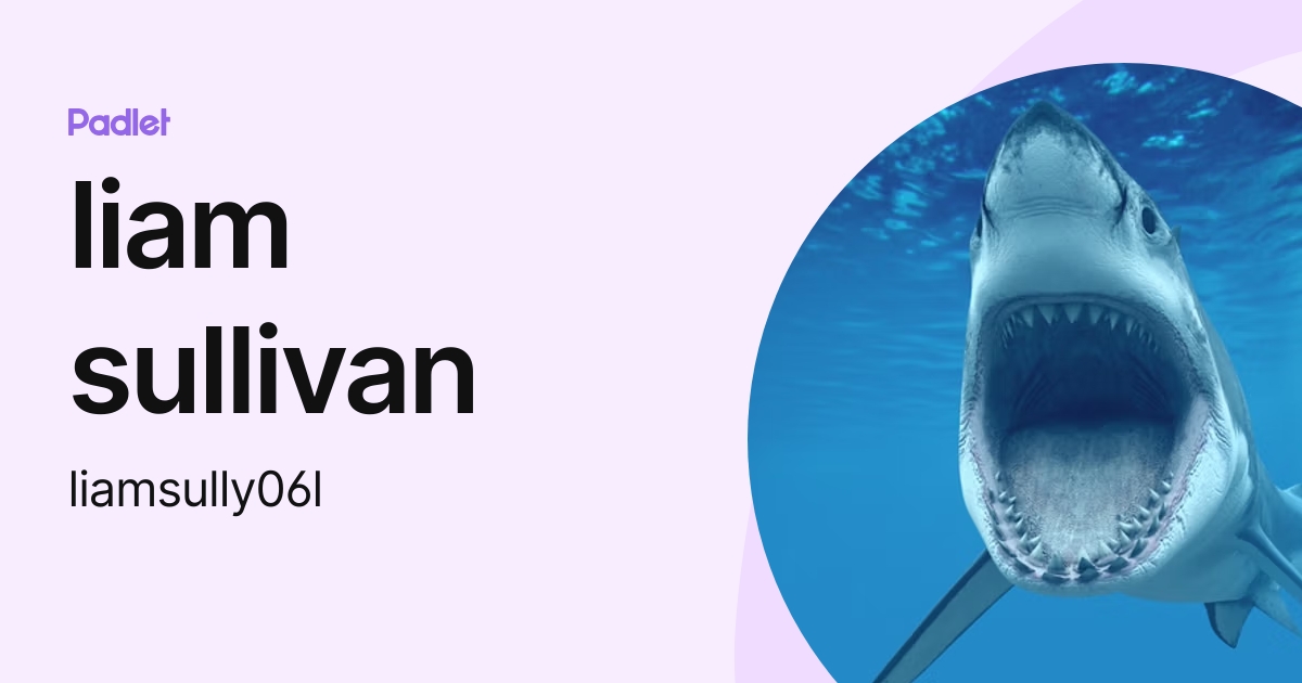 liam sullivan (liamsully06l) profile | Padlet