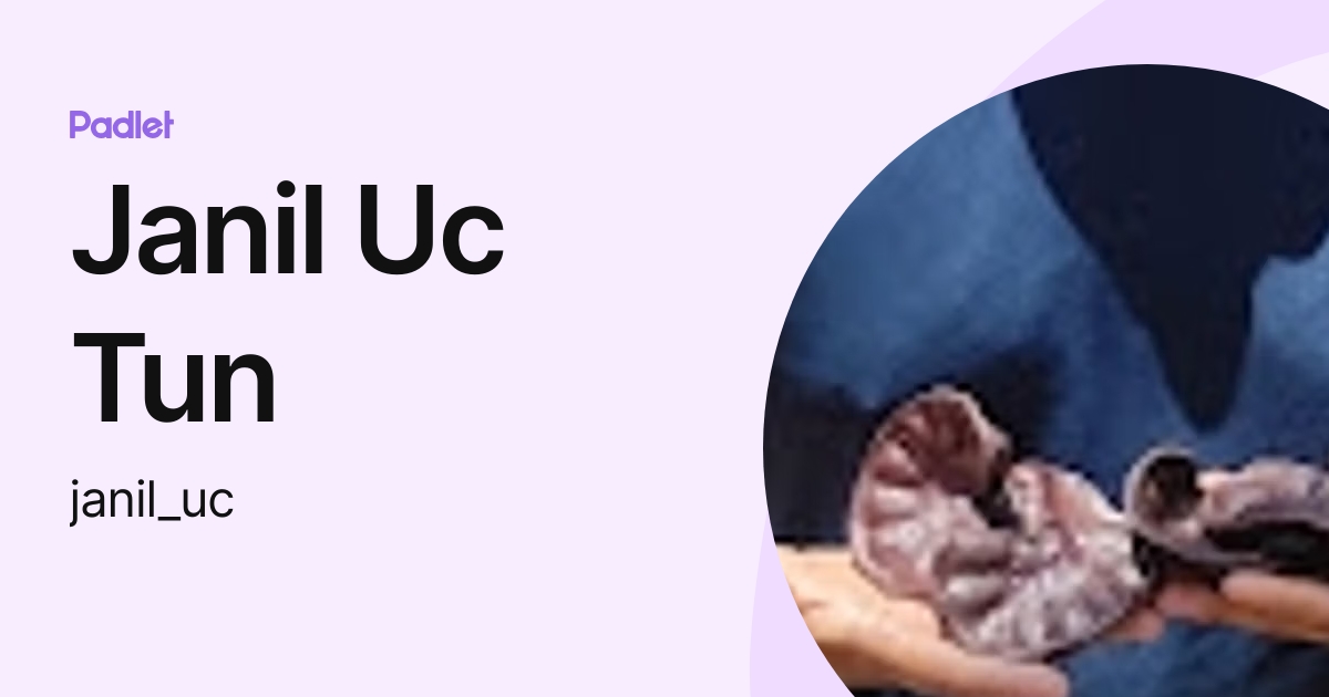 Janil Uc Tun (janil_uc) profile | Padlet
