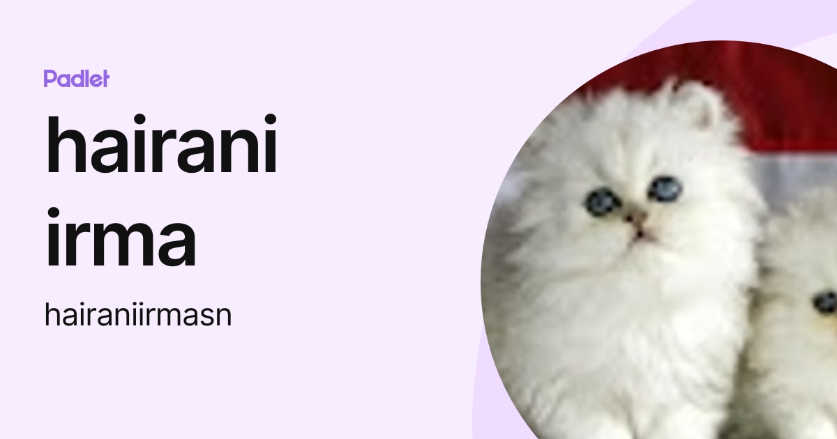 hairani irma (hairaniirmasn) profile | Padlet