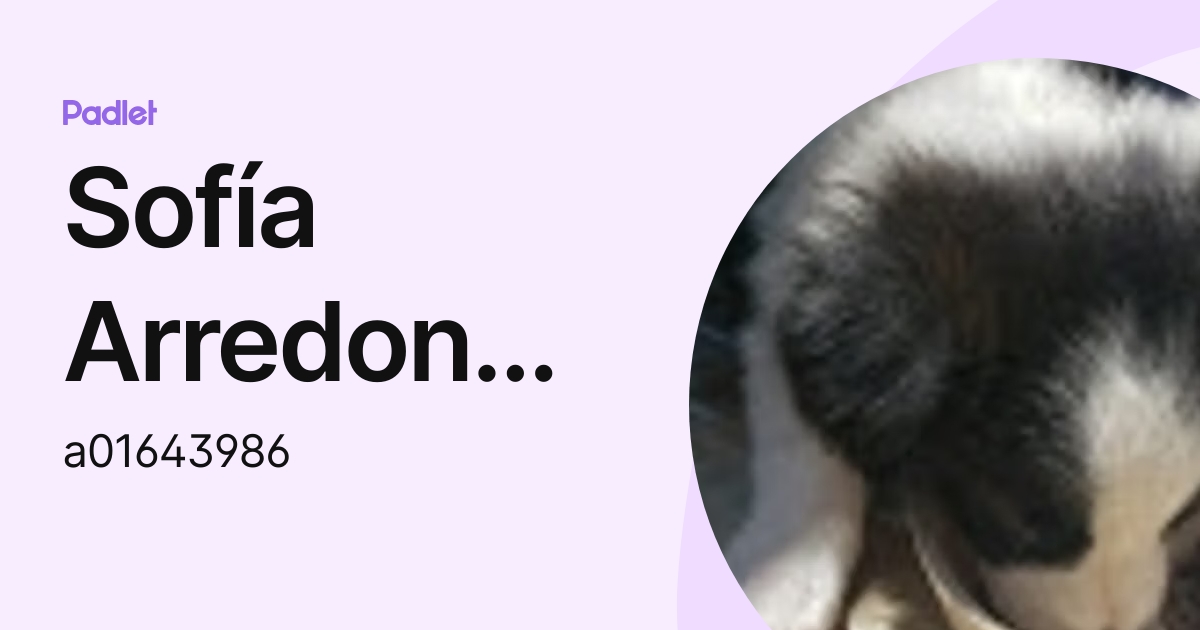 Sofía Arredondo Alvarado (a01643986) profile | Padlet