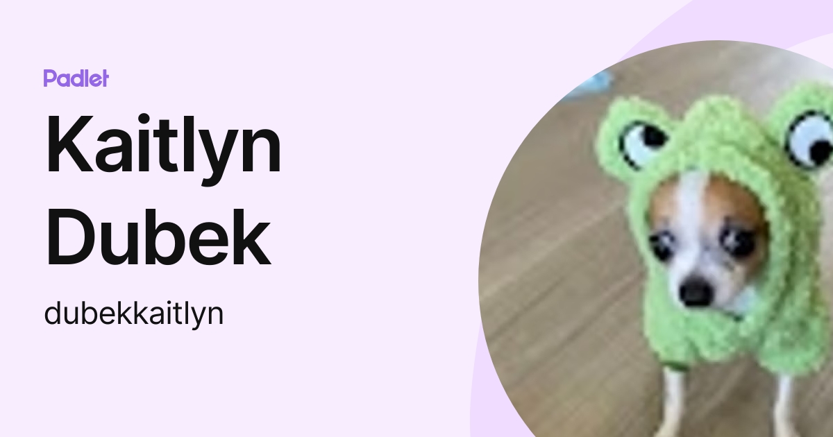 Kaitlyn Dubek (dubekkaitlyn) profile | Padlet