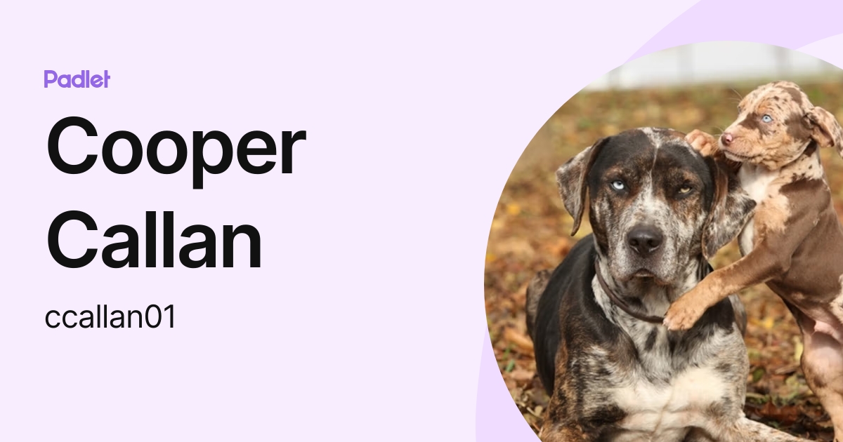 Cooper Callan (ccallan01) profile | Padlet