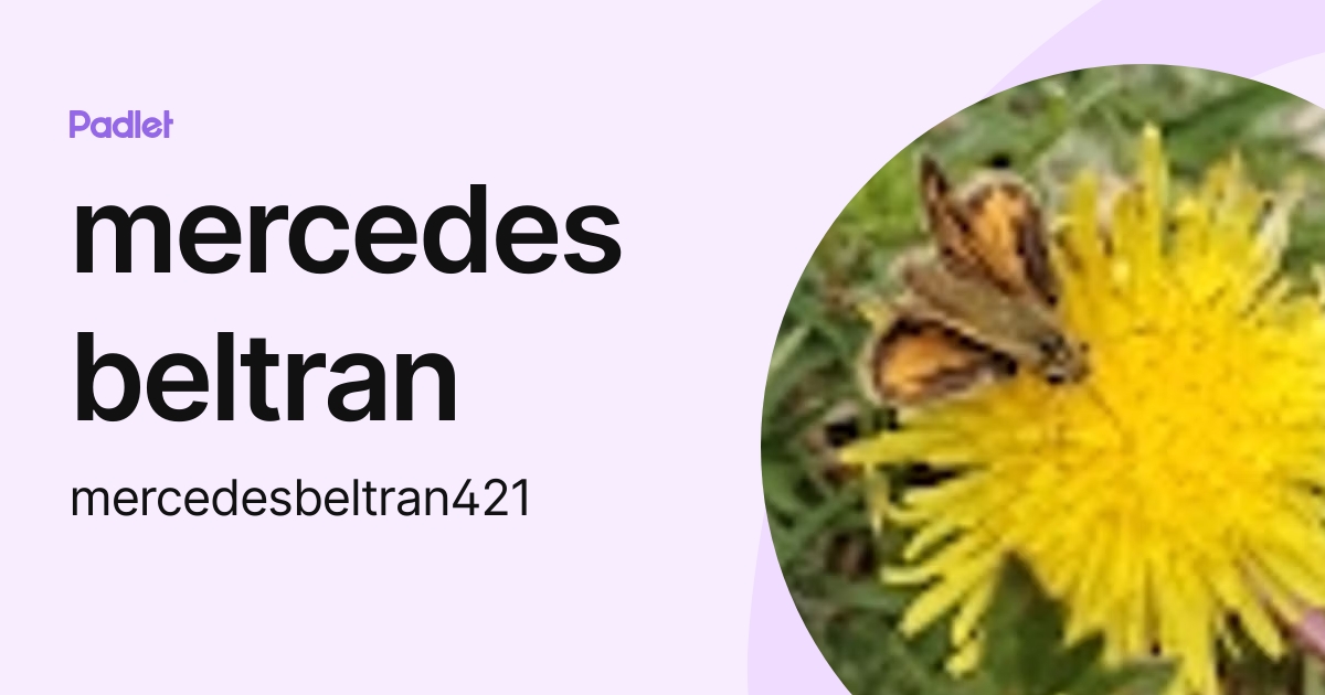 mercedes beltran (mercedesbeltran421) profile | Padlet