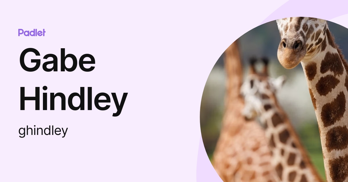 Gabe Hindley (ghindley) profile | Padlet