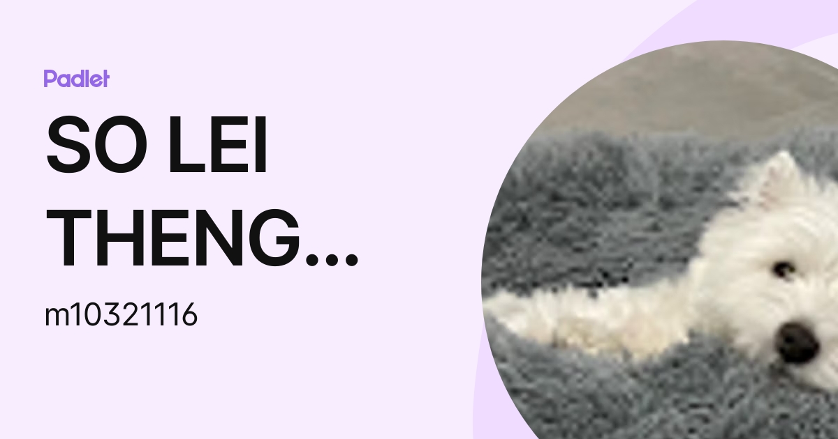 SO LEI THENG Moe (m10321116) profile | Padlet