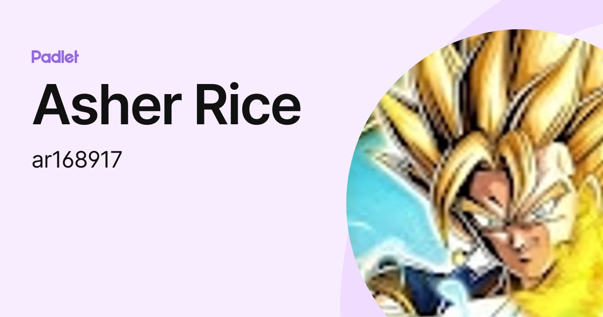 Asher Rice (ar168917) profile | Padlet