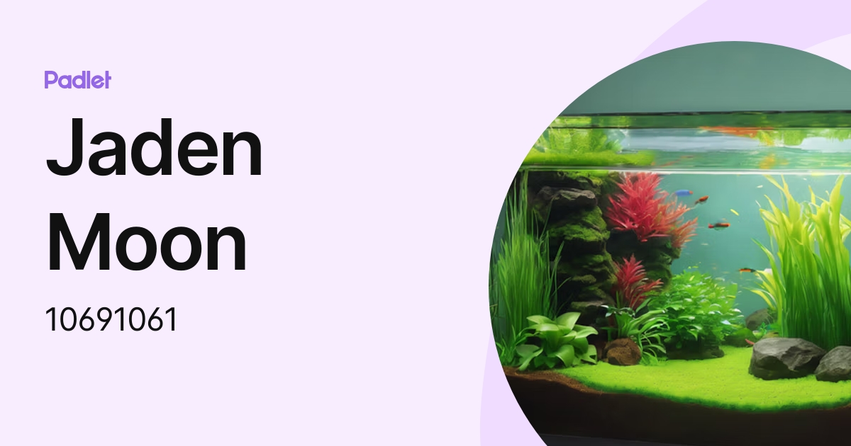 Jaden Moon (10691061) profile | Padlet