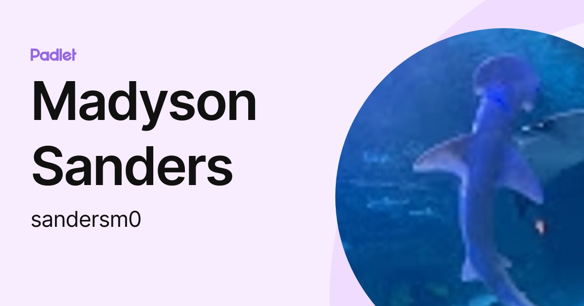 Madyson Sanders (sandersm0) profile | Padlet
