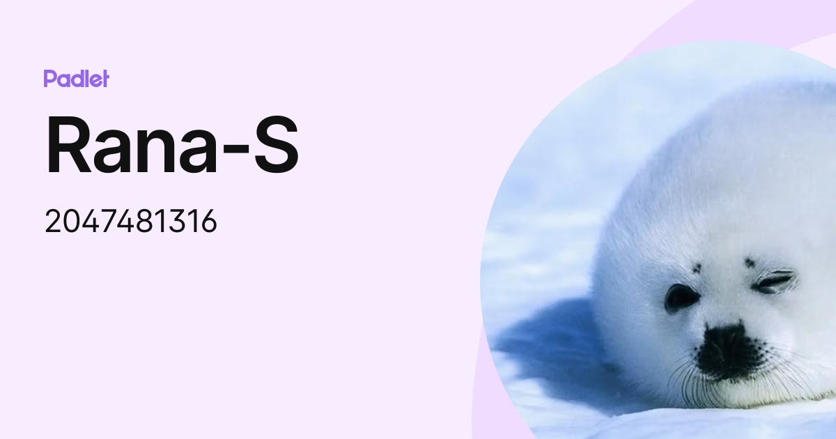 Shellin (2047481316) profile | Padlet